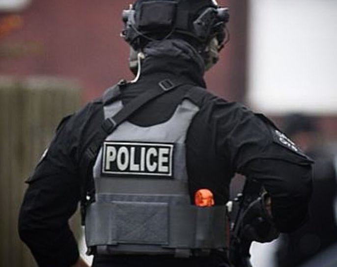 A plate carrier for moving light and fast? Advanced Slickster ...